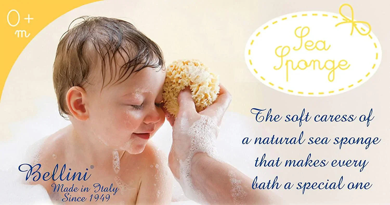 Benefits of Using a Sea Sponge — Goldtex