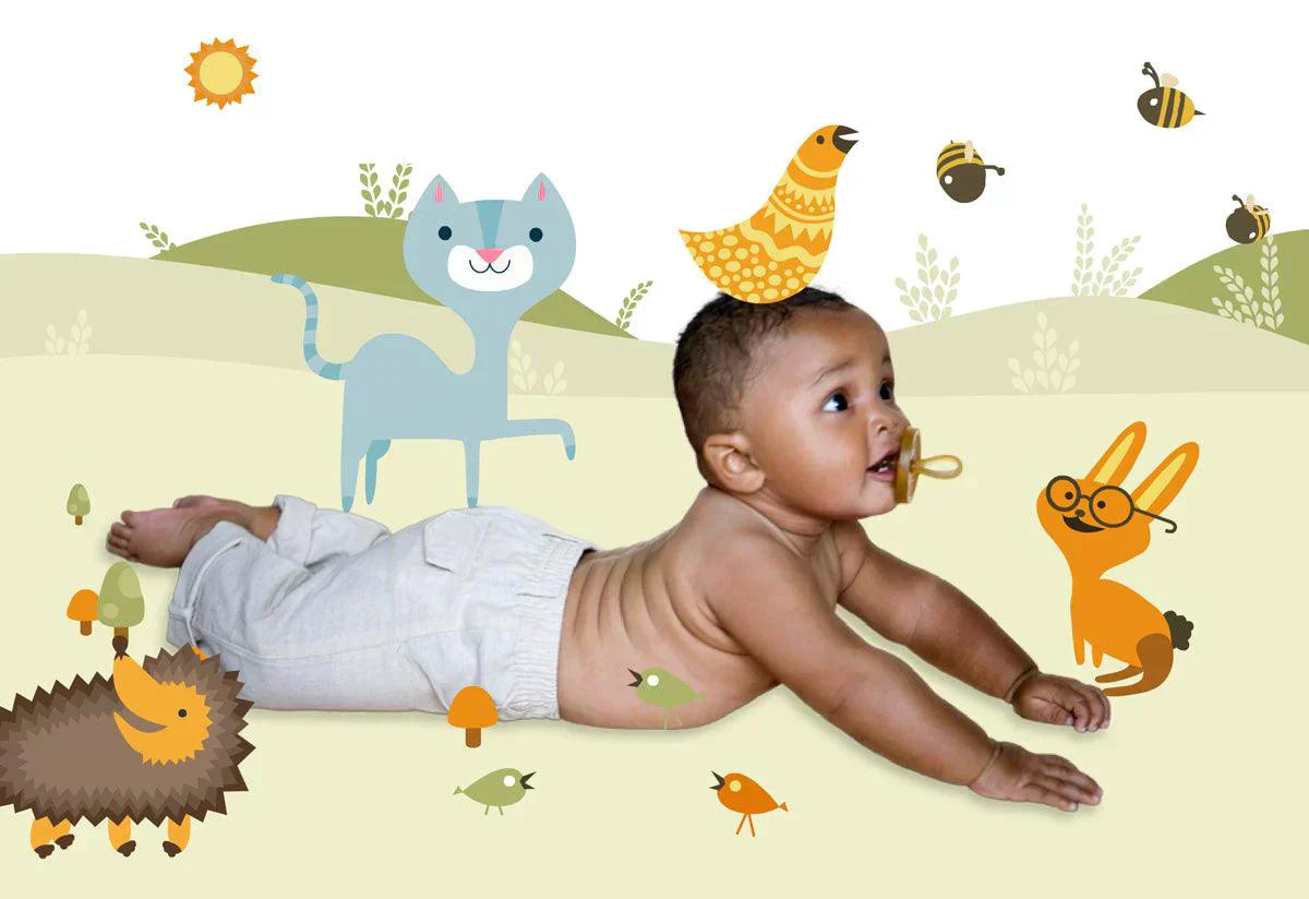 Understanding Different Pacifier Shapes and Sizes — Goldtex